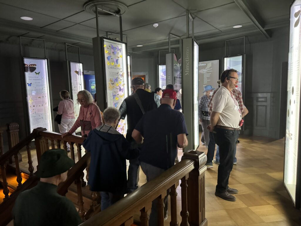 Museo Fonck sigue siendo un punto crucial en Viña del Mar para turistas ...